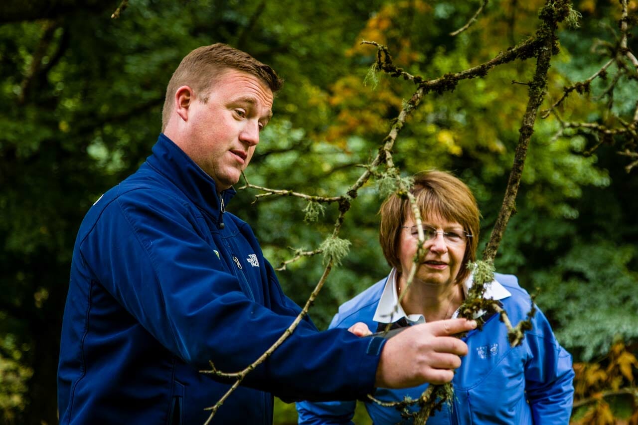 Certified Arborist Reports | Urban Forest Pro