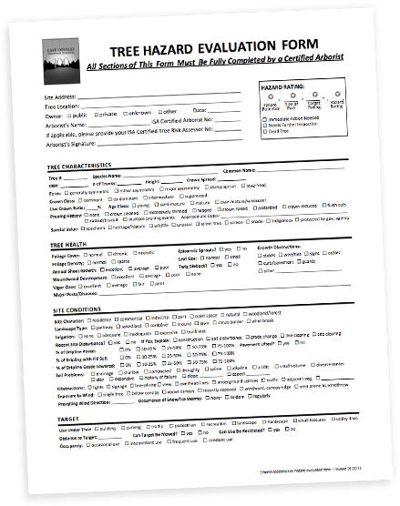 Portland Tree Removal Permit - Do I Need a Permit to Cut Down Trees on ...